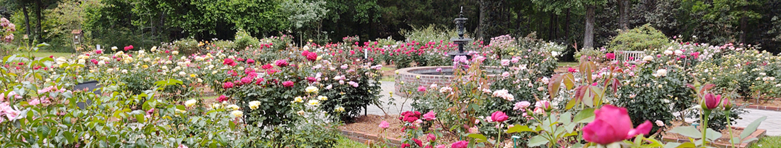 21. Rose Garden | Dothan Area Botanical Gardens